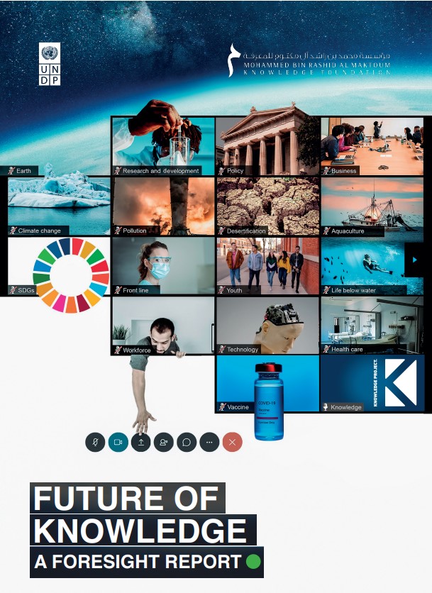 2.0 The Transformative Capacities Model